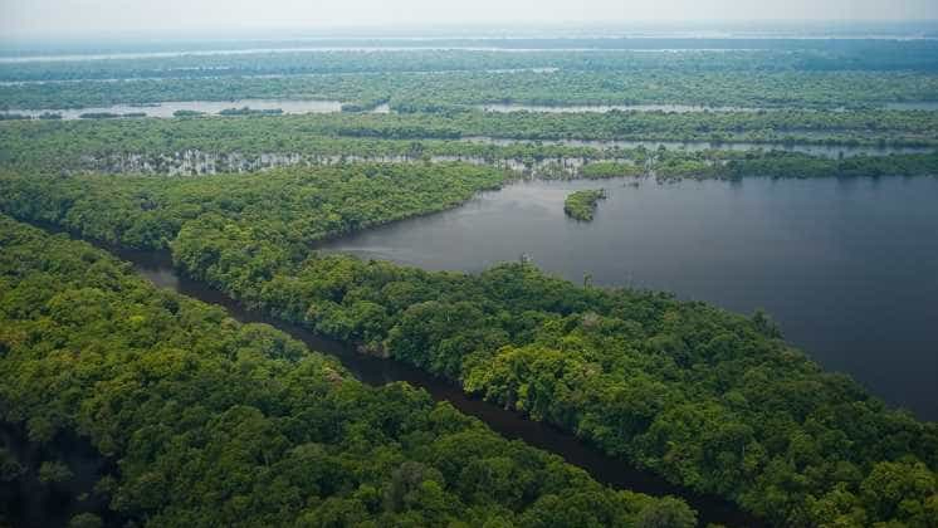 Razões para amar (e visitar!) o Norte do Brasil