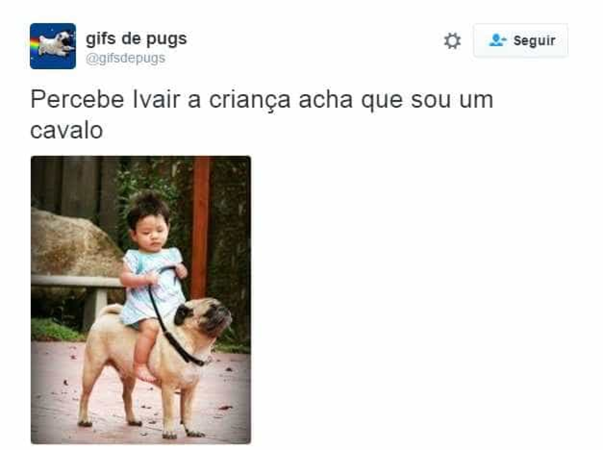 Saiba a história do meme 'Percebe, Ivair, a petulância do cavalo'