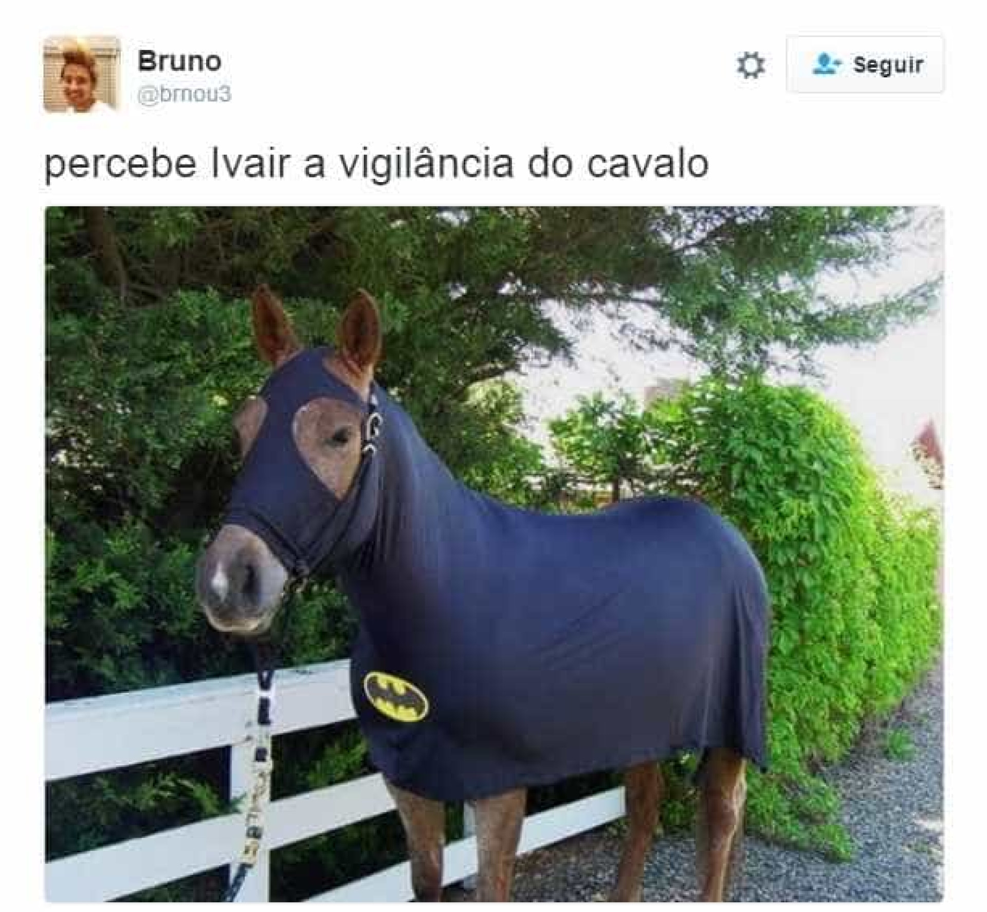 Saiba a história do meme 'Percebe, Ivair, a petulância do cavalo'
