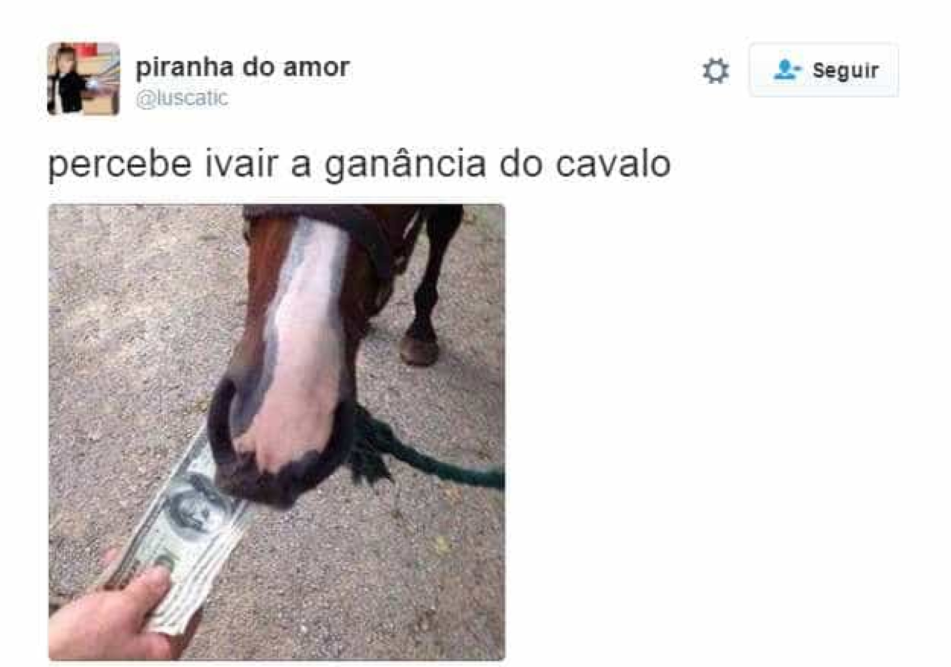 Saiba a história do meme 'Percebe, Ivair, a petulância do cavalo'
